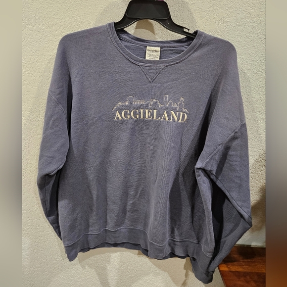 Comfort Colors | Sweaters | Comfort Colors Sweatshirt In Charcoal Gray ...